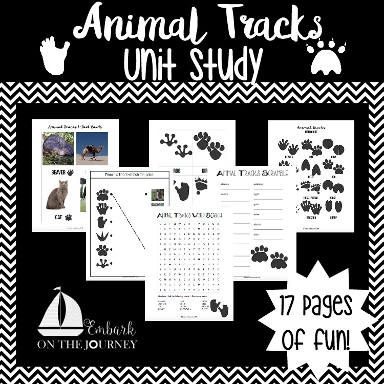 Get your kids outside and explore nature with this fun Animal Tracks ...