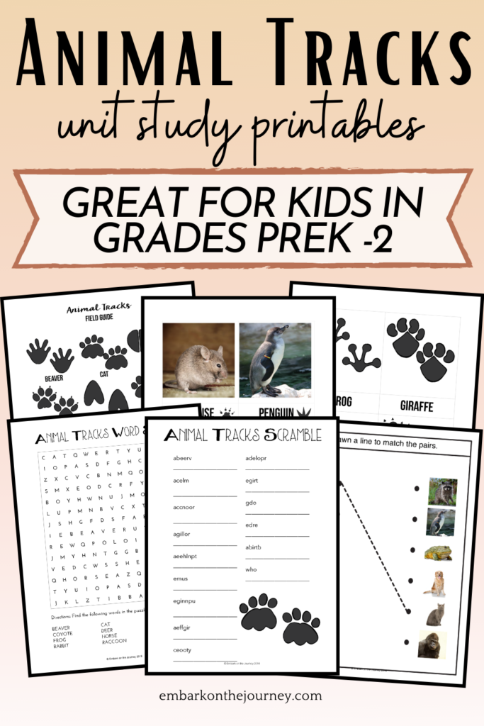 Animal Notebooking Pages