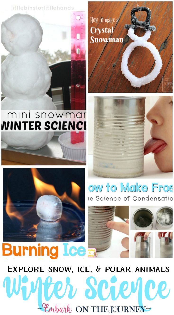 I love that wintertime brings new opportunities for unique homeschool ...