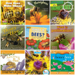 Studying bees this spring? Check out these nonfiction picture books ...