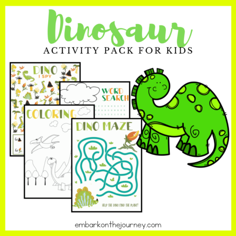 Dinosaur Activity Pack