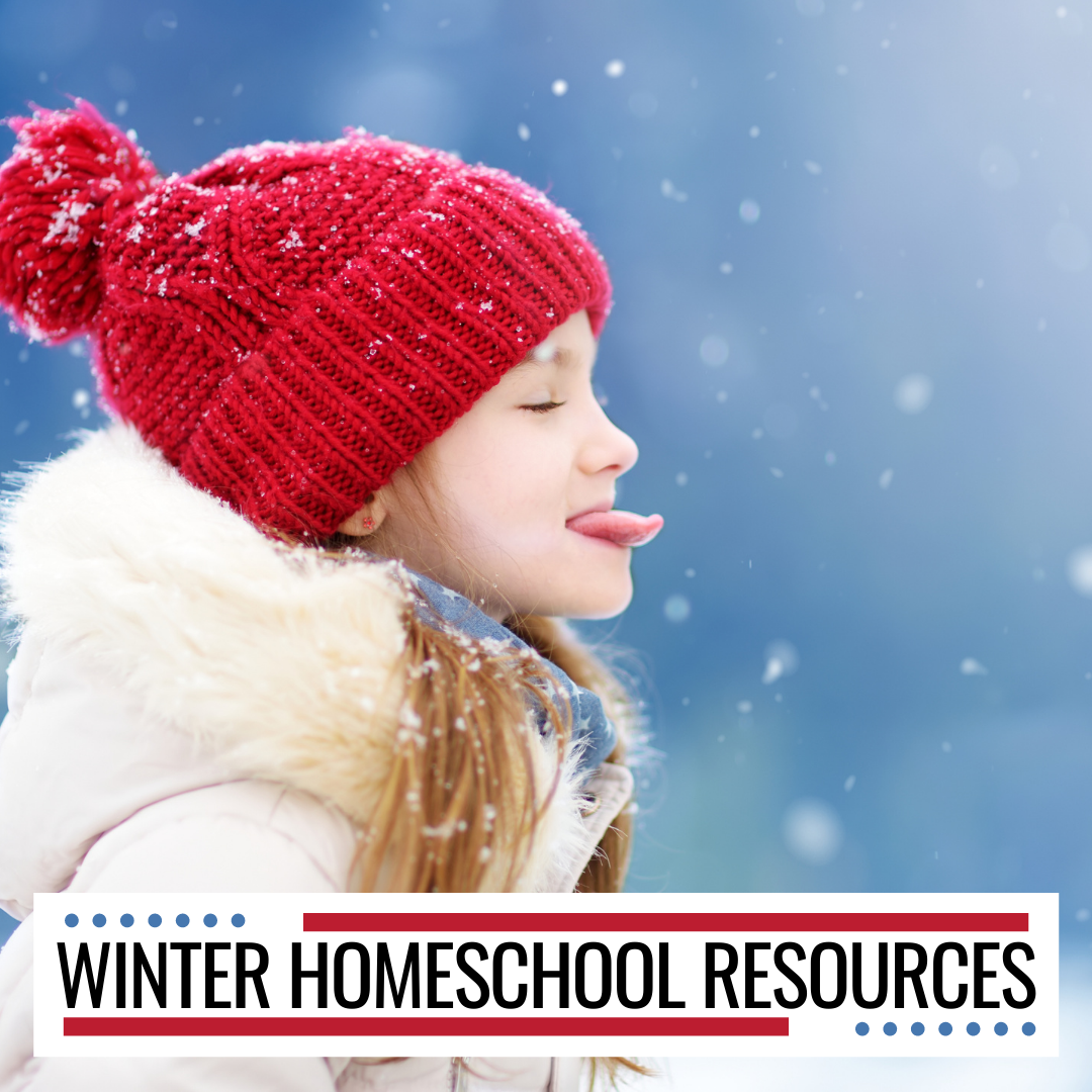 Winter Activities and Resources for Homeschoolers