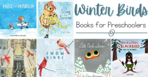 Winter Bird Books for Preschoolers