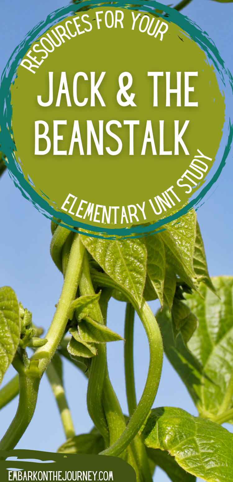 beanstalk-2