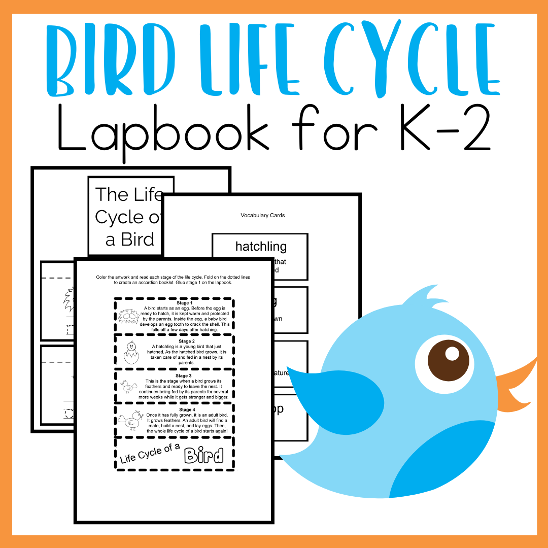 Backyard Birds Unit Study