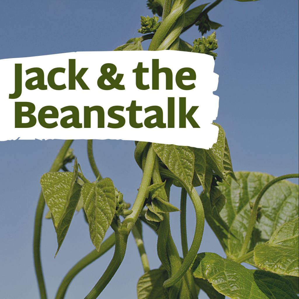 Jack and the Beanstalk Teaching Ideas