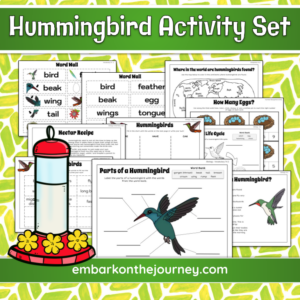 Hummingbird Activities for Kids